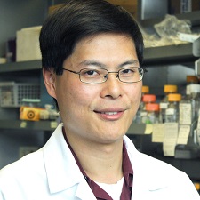 Michael Z. Lin, MD, PhD | Damon Runyon Cancer Research Foundation